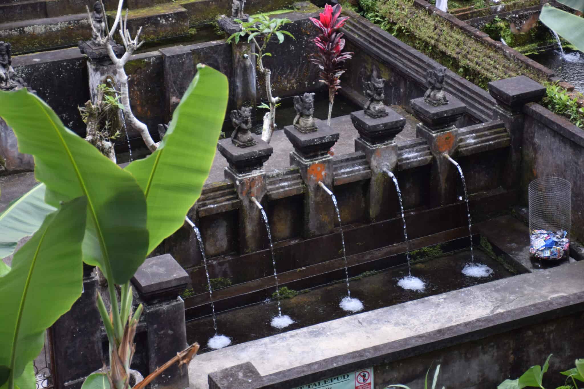 🐒 Velký průvodce Ubud 🌴 - 16 tipů, co vidět a dělat + mapa