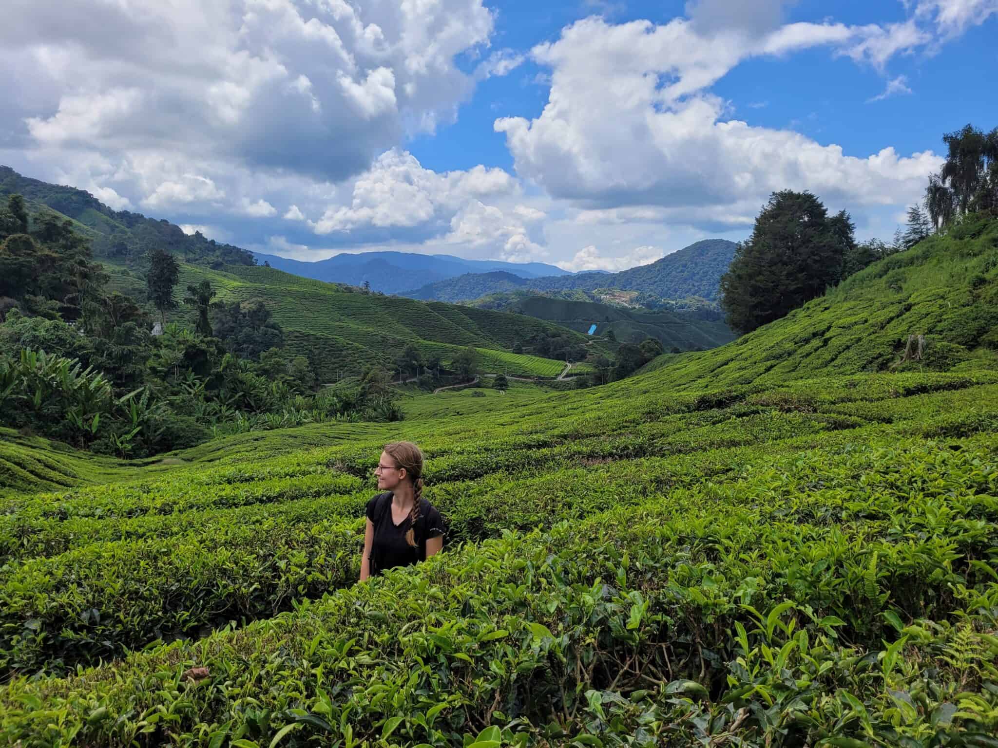 Malajsie itinerář - 3 itineráře (na 10 dní, 2 a 3 týdny)